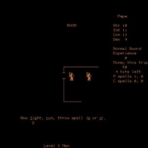 014. 柏拉图（PLATO）系统时代的 RPG | The CRPG Book 中文版 | CRPG 通鉴